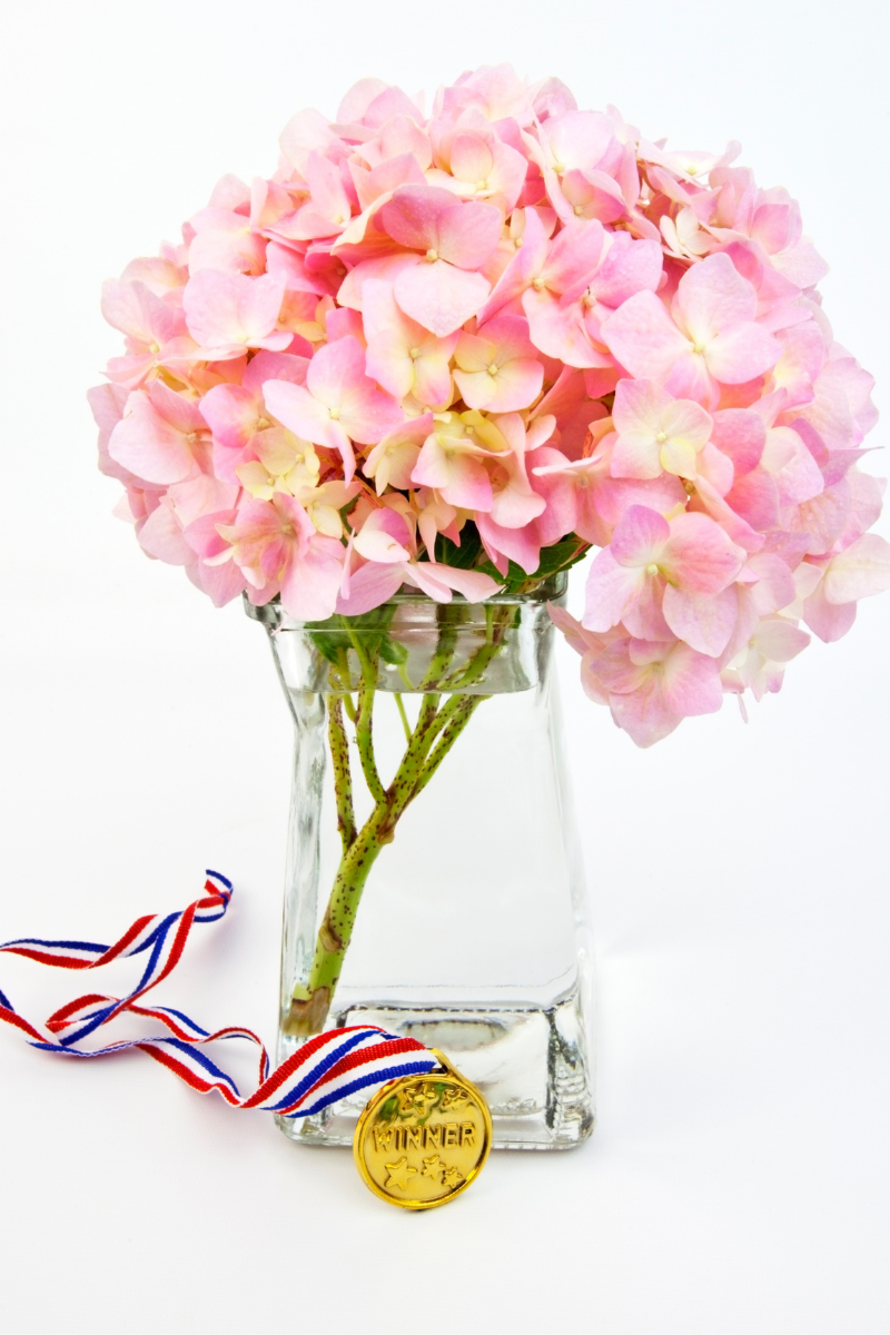 Winning Cancer – The Balm Box